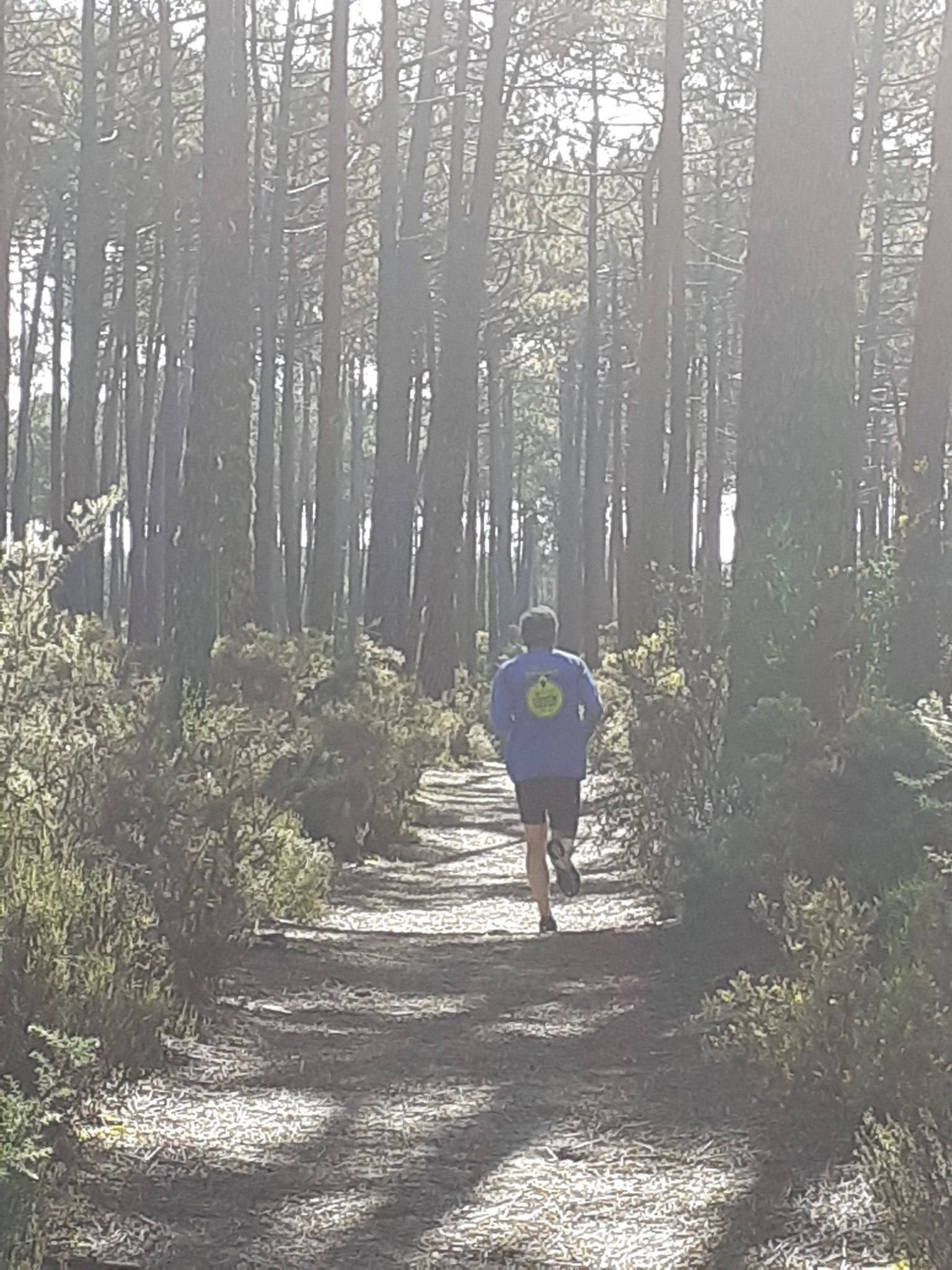 EM OVAR: “TRILHO DA FLORESTA” MANTÉM-SE COMO ALTERNATIVA NATURAL PARA ...