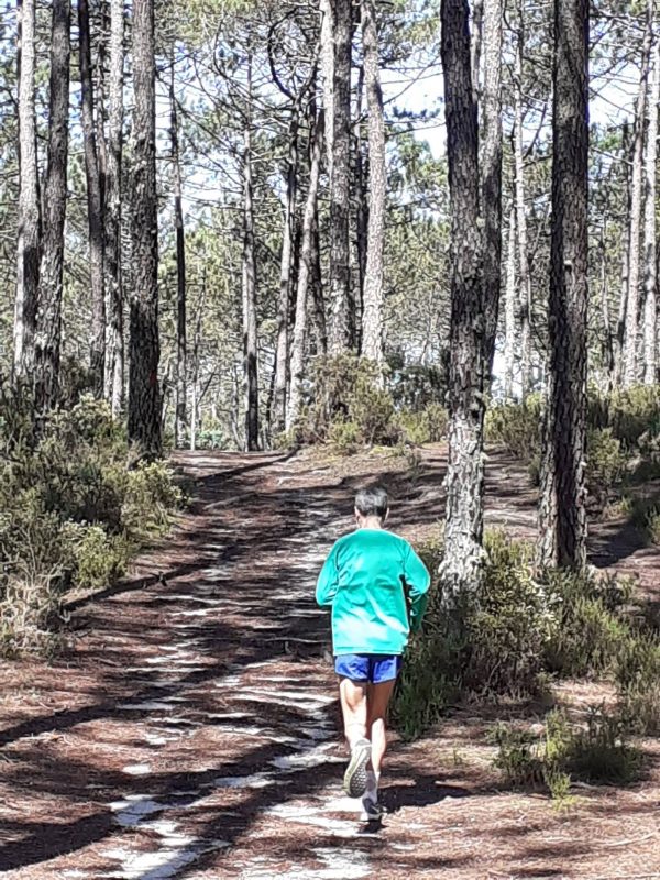 EM OVAR: “TRILHO DA FLORESTA” MANTÉM-SE COMO ALTERNATIVA NATURAL PARA ...