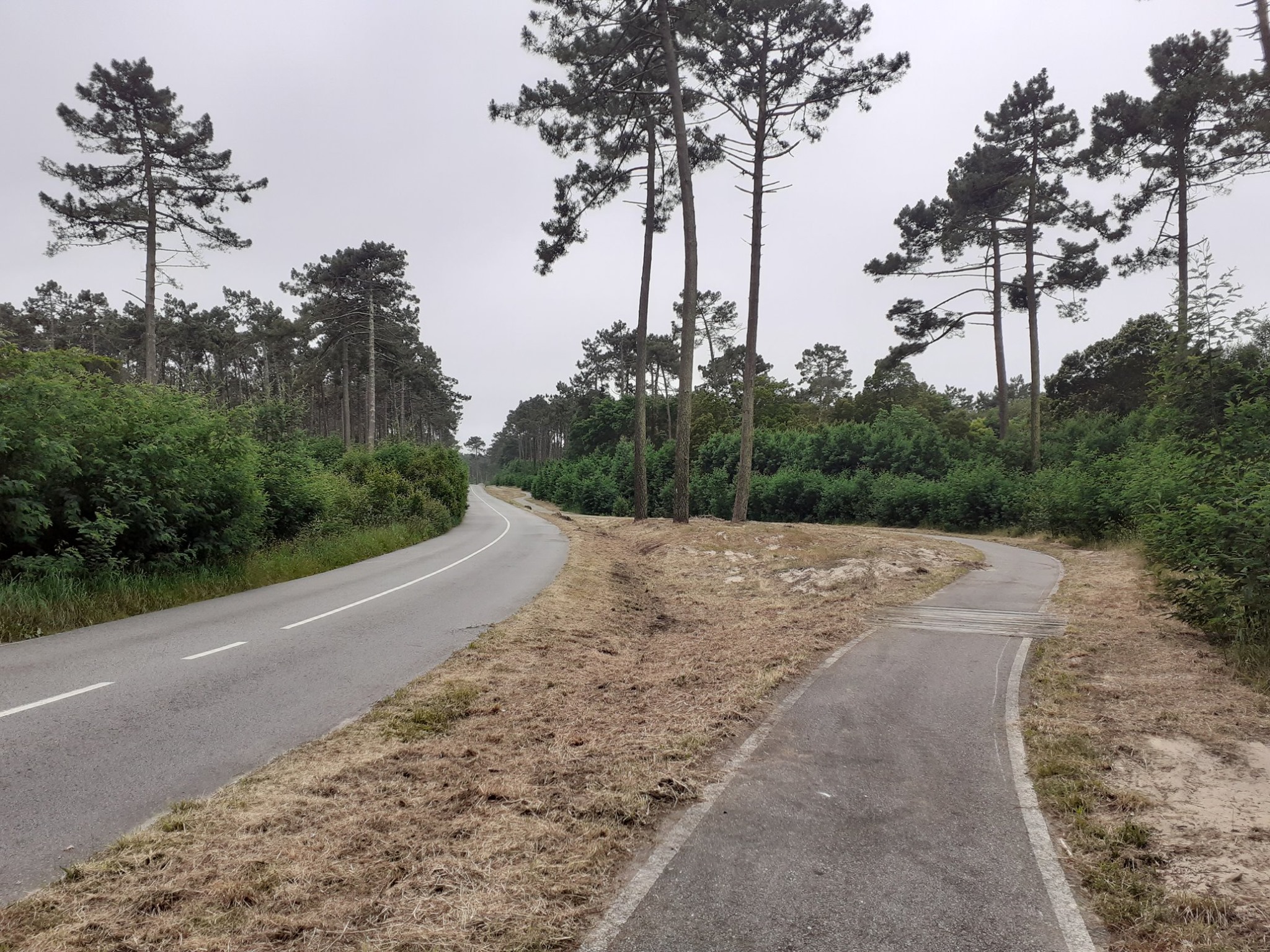 EM OVAR: “TRILHO DA FLORESTA” MANTÉM-SE COMO ALTERNATIVA NATURAL PARA ...