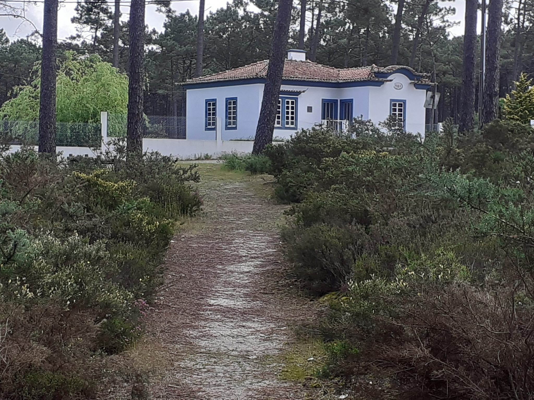 EM OVAR: “TRILHO DA FLORESTA” MANTÉM-SE COMO ALTERNATIVA NATURAL PARA ...